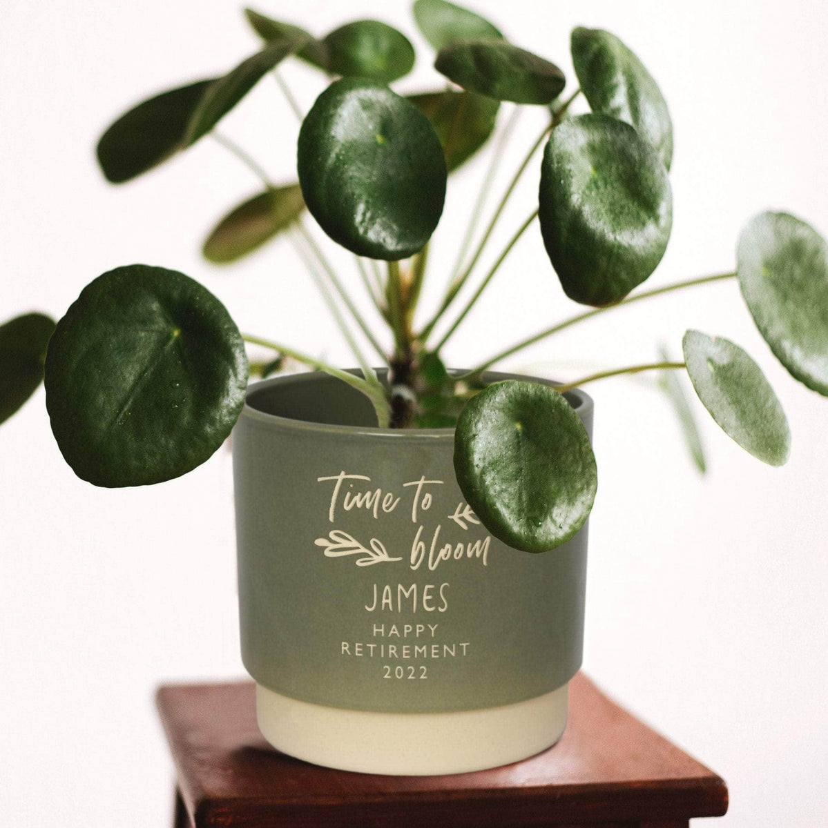 Personalized Retirement Indoor Plant Pot – Letterfest 🇺🇸