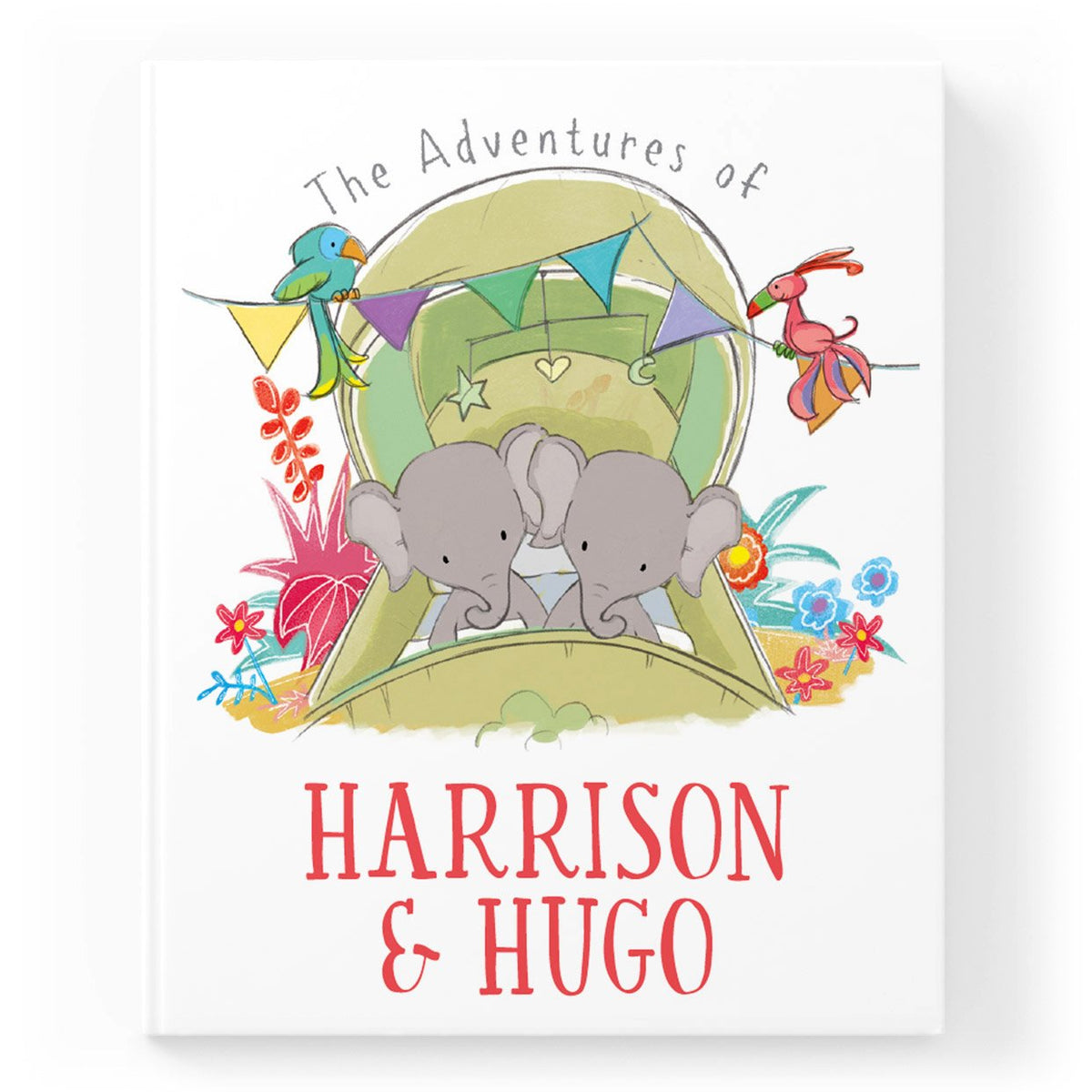 Personalized Kids Book - Twins Story – Letterfest 🇺🇸